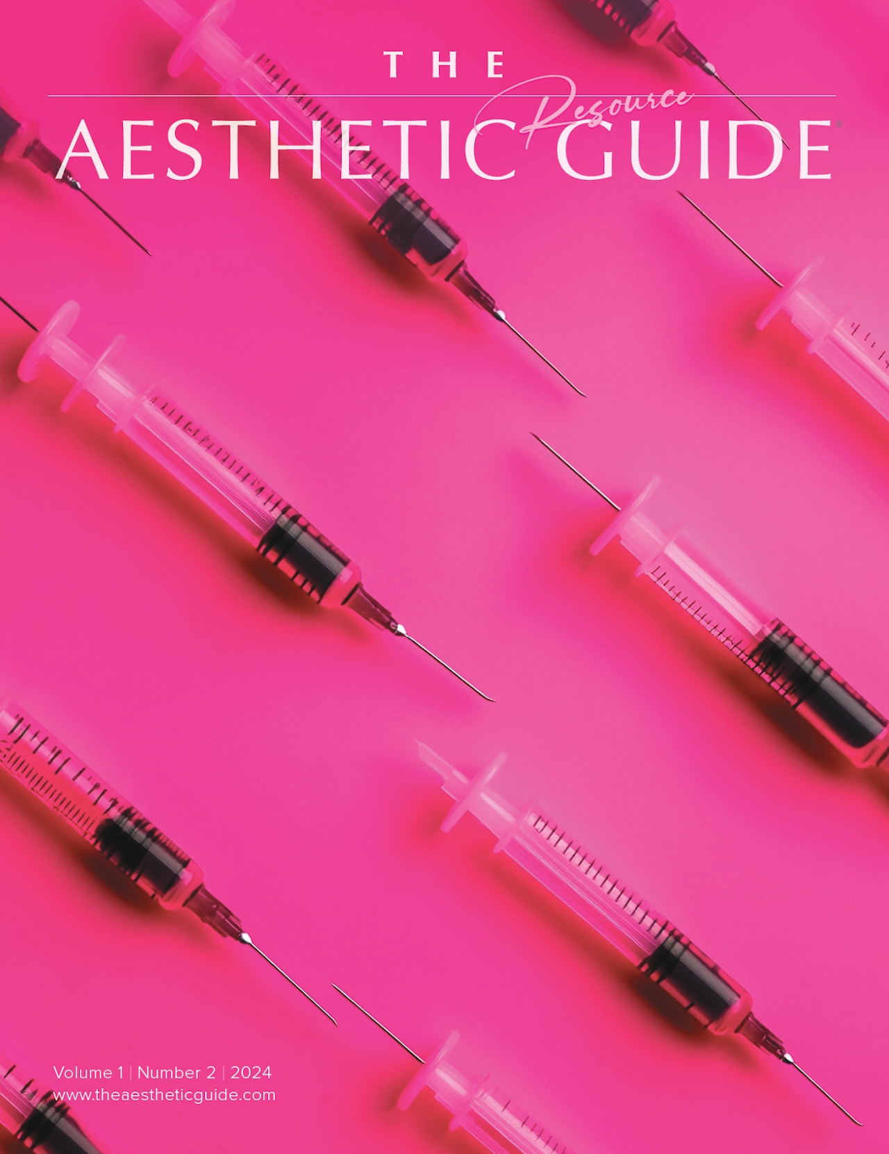 The Aesthetic Guide