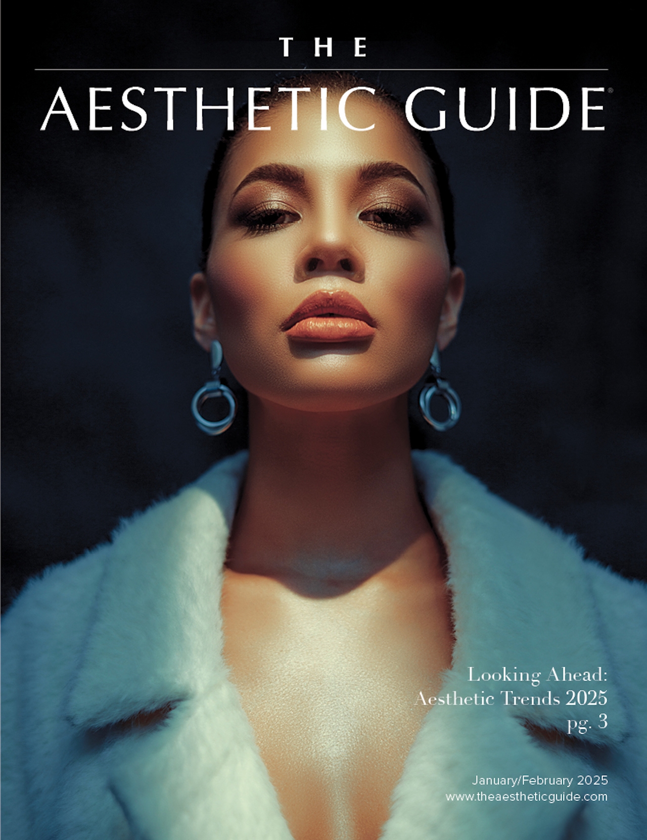 The Aesthetic Guide