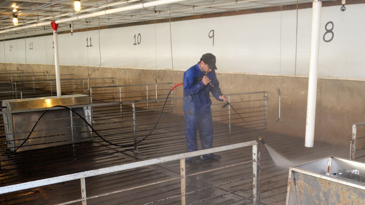 Strategic swine barn cleaning protocols key during a depop, repop
