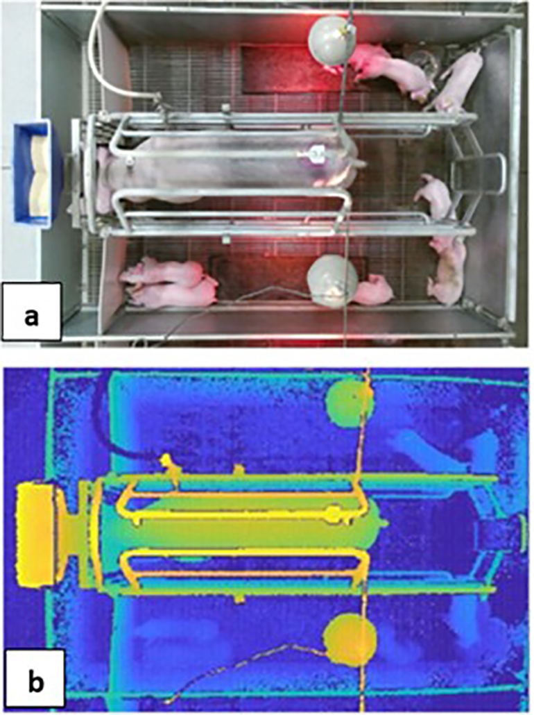 Emerging technologies for monitoring sow health and welfare