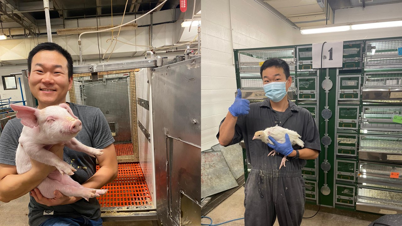 Purdue Animal Sciences welcomes Jinsu Hong