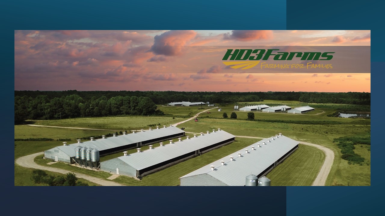 Pork Market News recent news | National Hog Farmer