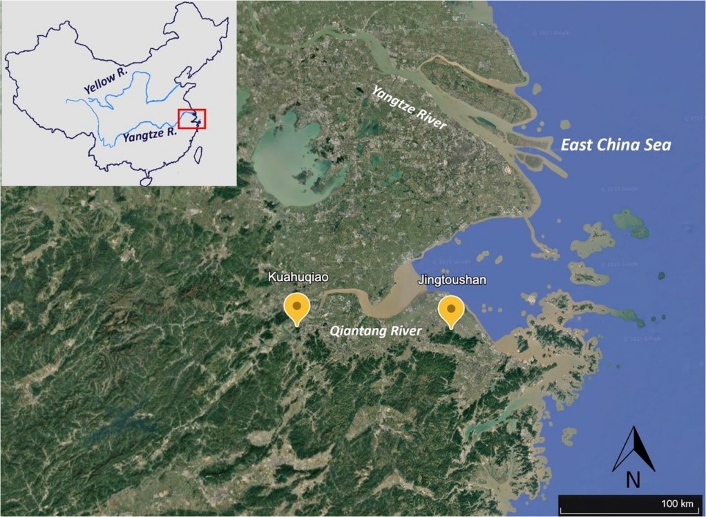 Study proves pigs domesticated from South China wild boars, ate human ...