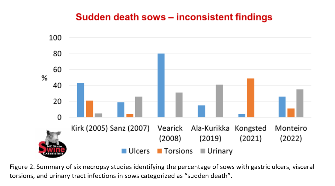 Science-driven approaches to enhancing sow livability