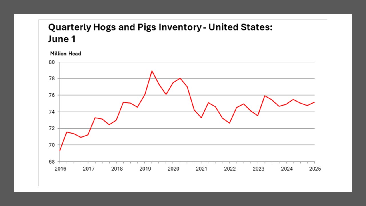 Market Reports recent news | National Hog Farmer