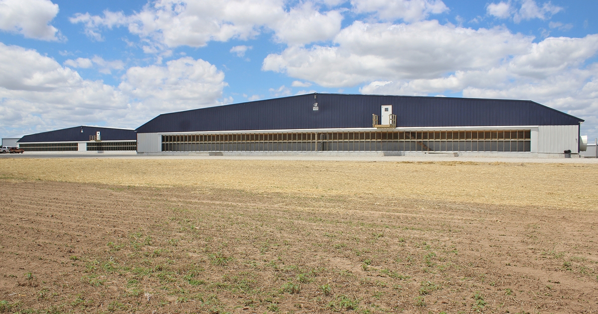 Take a peek inside a 5,500-sow unit | National Hog Farmer