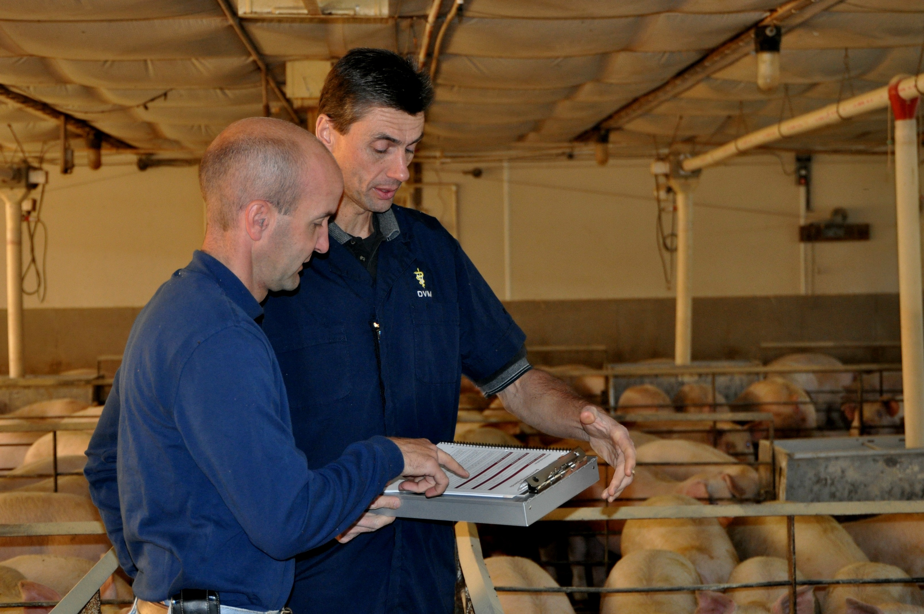 Producers still learning to live under VFDs