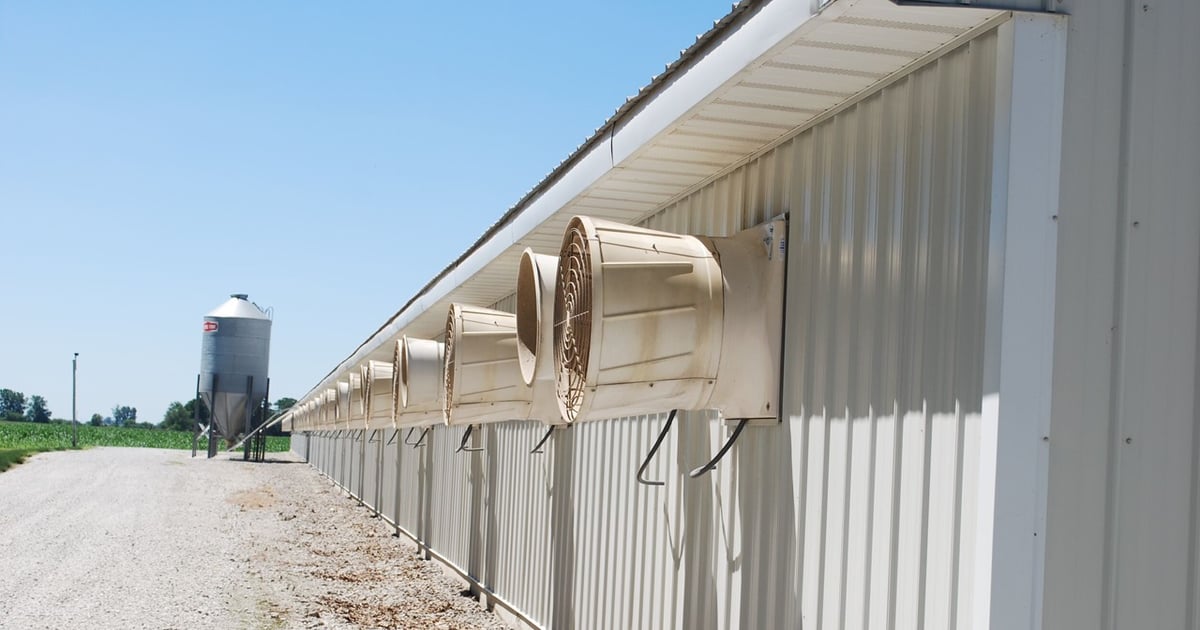 Design, power and performance: Insights from 30 years of tunnel fan testing
