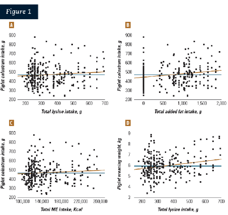 Feeding for that first drop