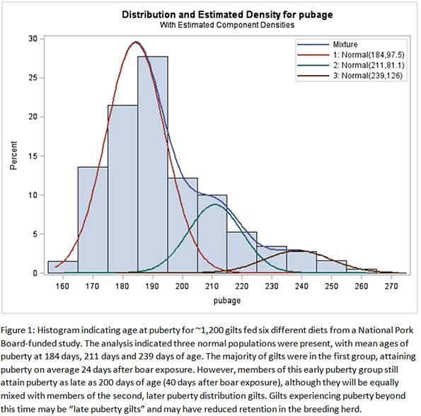 Growth and nutrition effects on gilt development