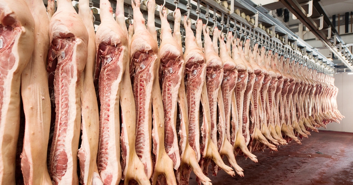 USDA updates Pork Carcass Cutout user's guide for 2026