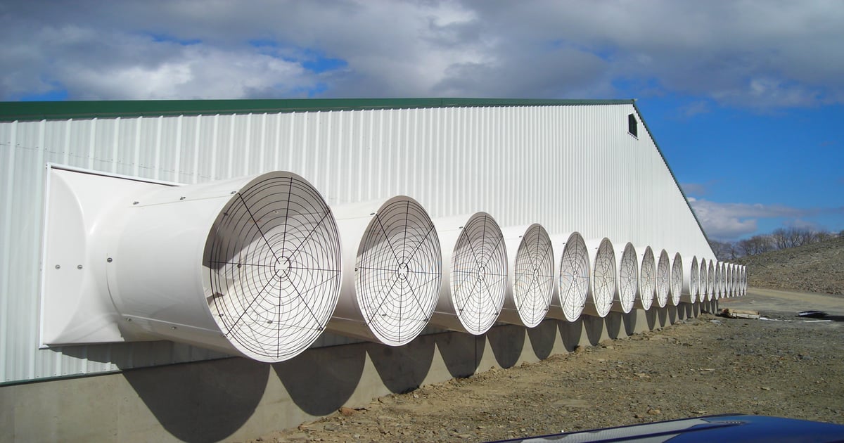 5 swine barn ventilation tips