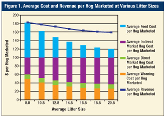 Swine Research Review - Reproduction