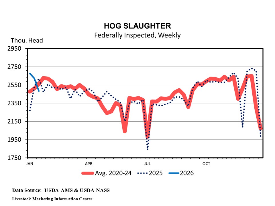 2026 hog forecasts