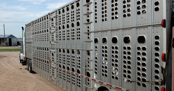 USDA extends comment period for proposed GIPSA rule