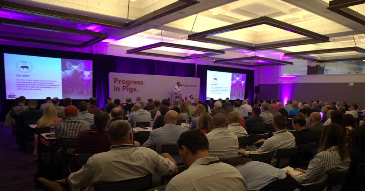 Topigs Norsvin unveils new genetic solution R3silience
