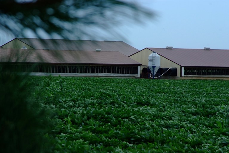 New Year’s Resolutions to Improve Farming Practices