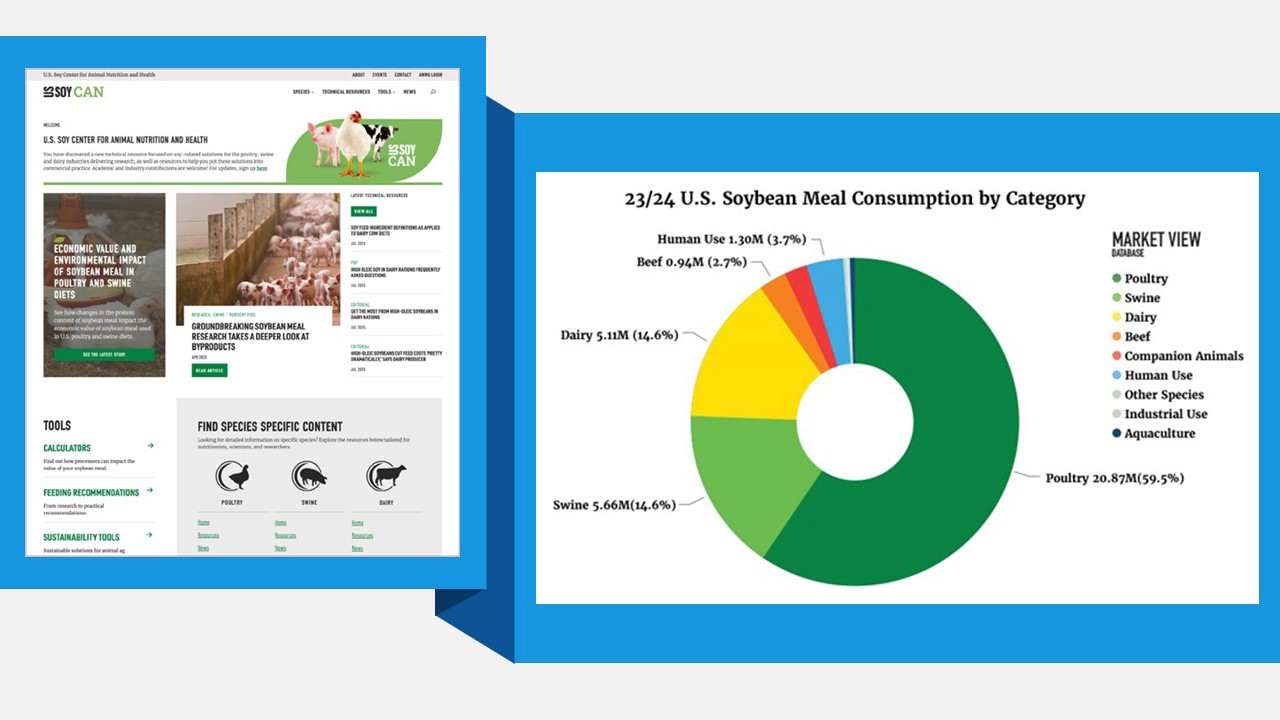 Hog Nutrition recent news | National Hog Farmer