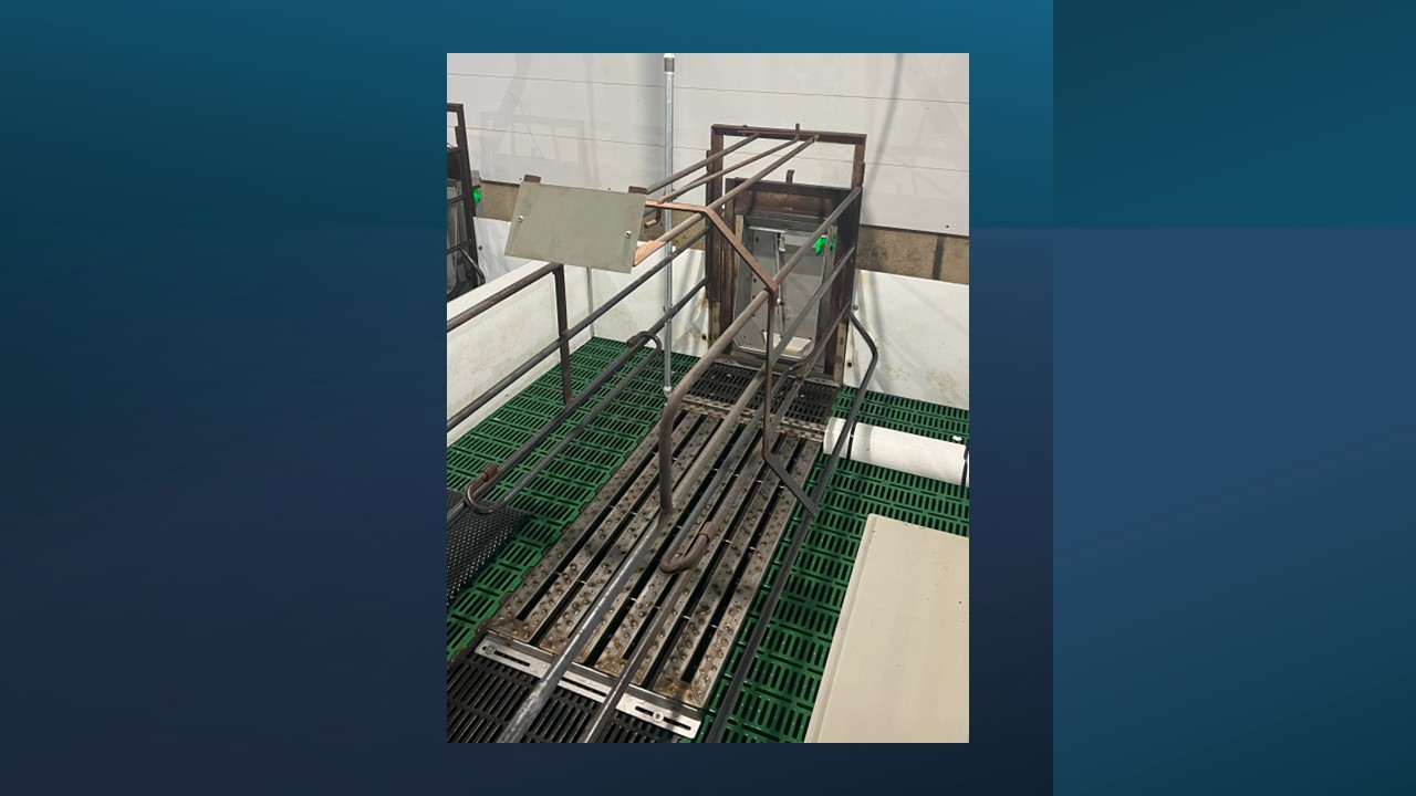 Hog Reproduction recent news | National Hog Farmer