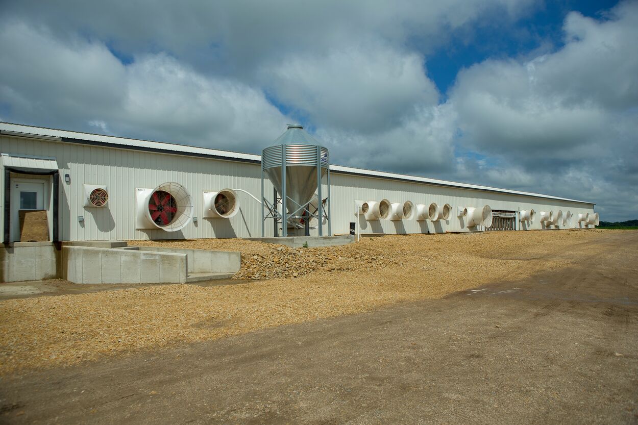 SHIC-funded analysis provides insight into S. zooepidemicus strains