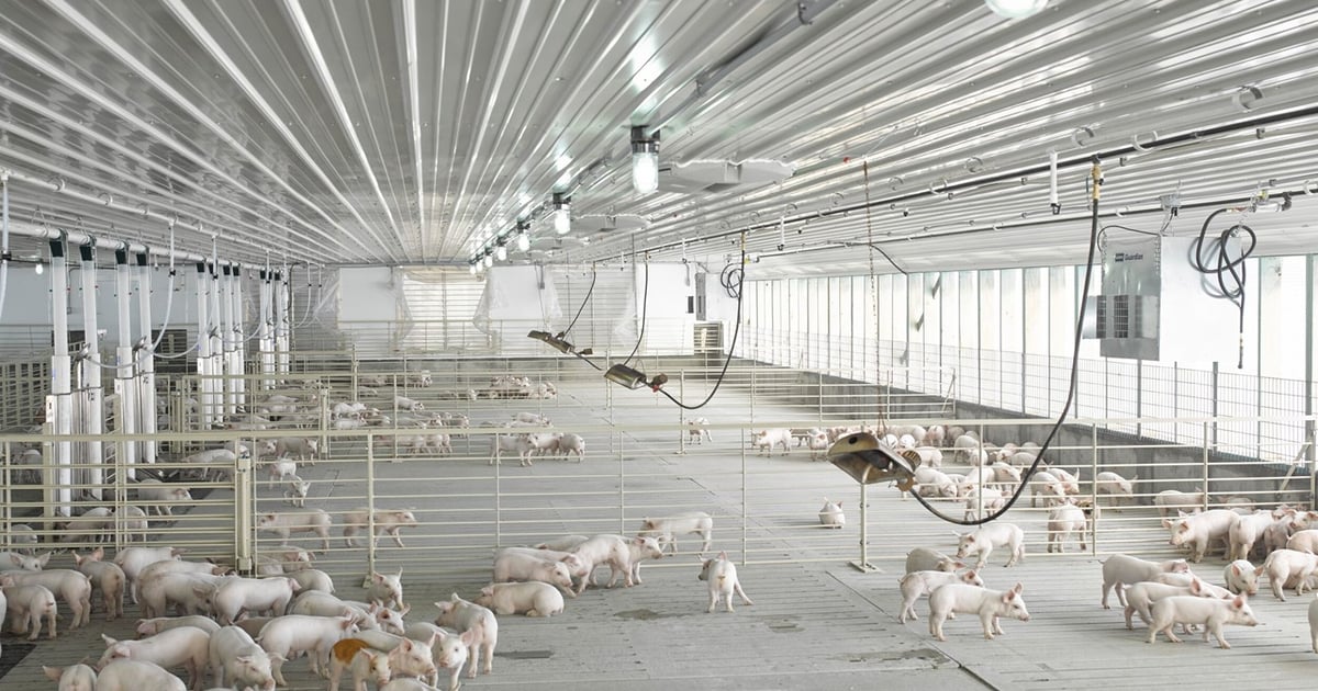 Making smart barn investments