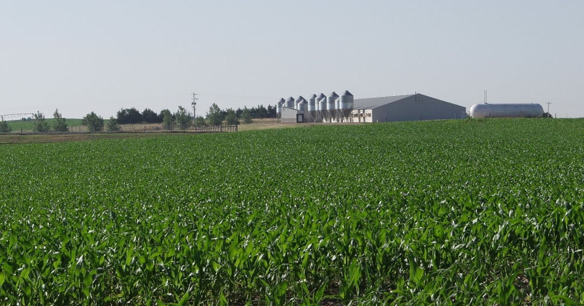 5% of U.S. farmland set for ownership transfer in 5 years