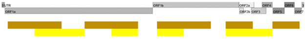 Understanding PRRSV coinfections through NGS