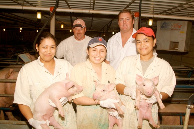 Pork Checkoff Releases Employee Survey