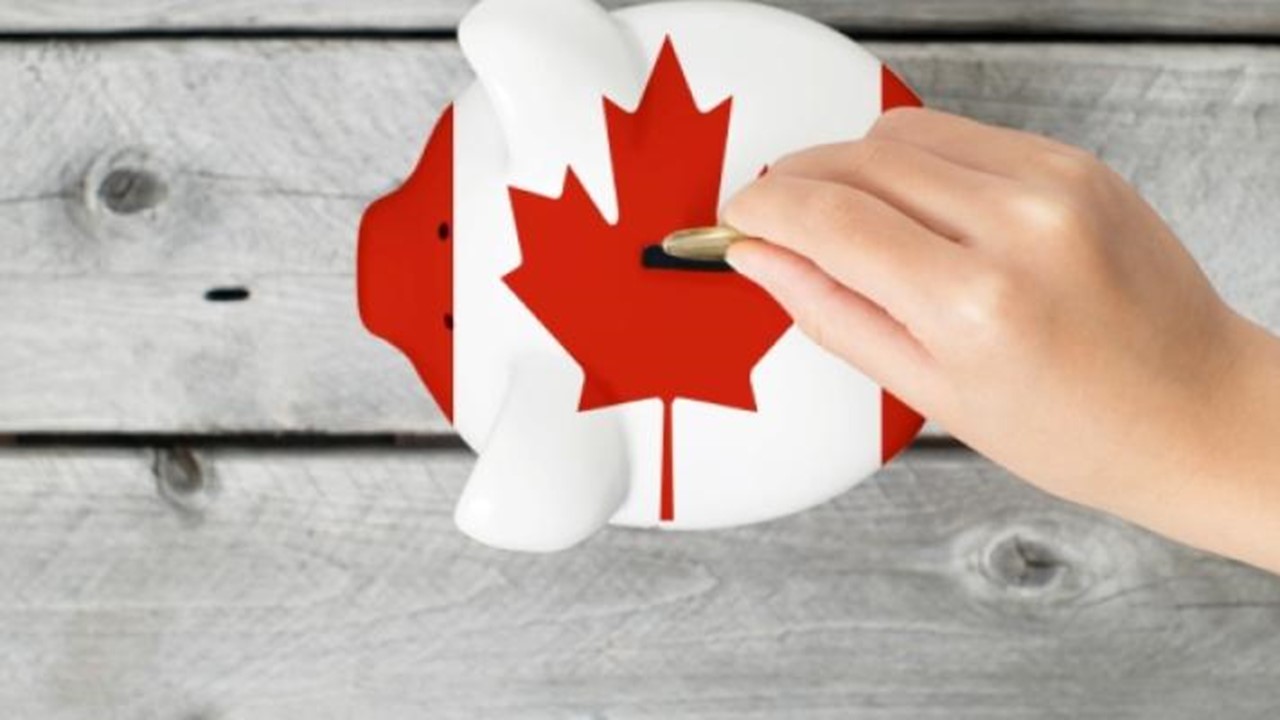 Canada boosts efforts to improve animal health and welfare