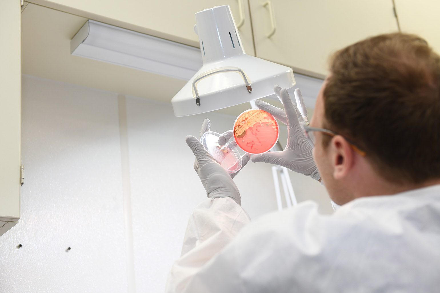 Strep suis control: Ounce of prevention worth a pound of cure