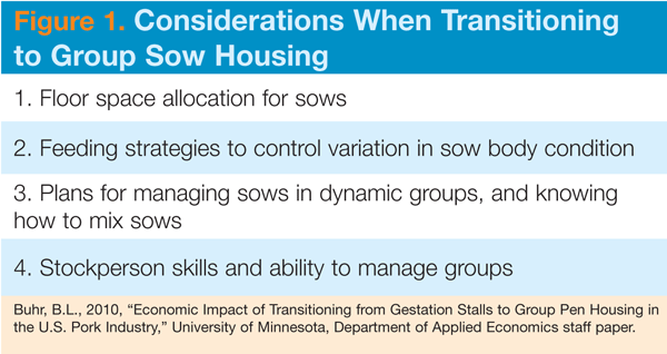 Group Sow Housing: Practical Considerations