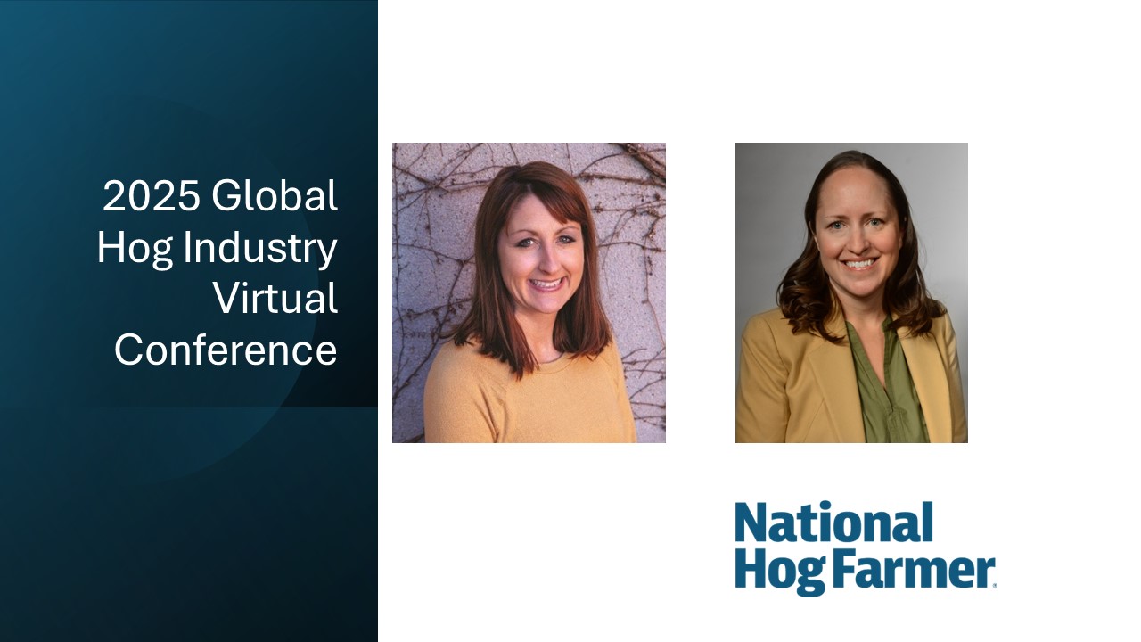 Latest Lean Hogs Prices | National Hog Farmer