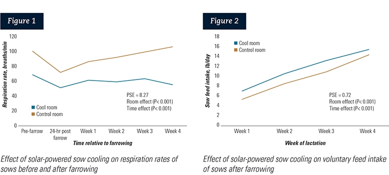 Turning down the heat in the sow barn