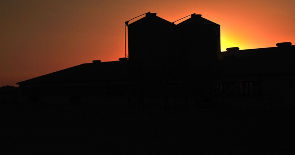 Photo Gallery: Dahl Family Farms Uses New Technologies, Focuses on ...