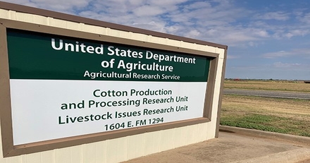 USDA ARS facility celebrates 20-plus years of livestock research