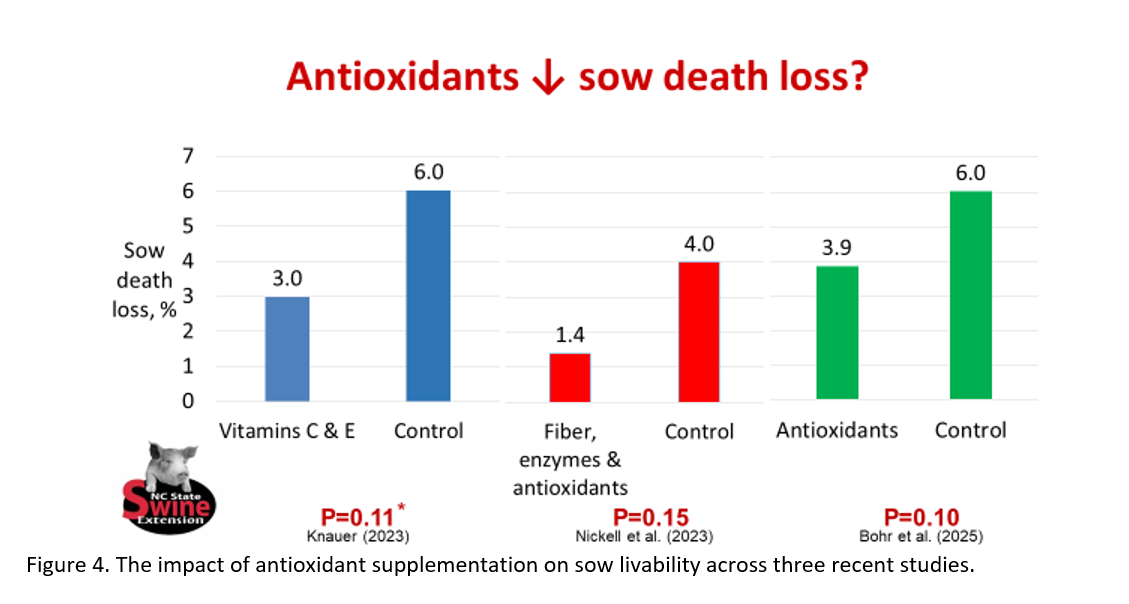 Science-driven approaches to enhancing sow livability