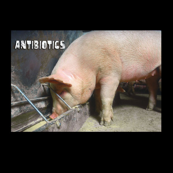 NPPC, NPB applaud antibiotic council’s recommendations
