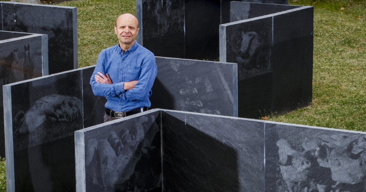 Ciobanu honored for work in swine genetics, named NAI fellow