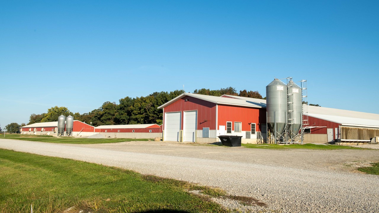 DDGS present handling and storage considerations