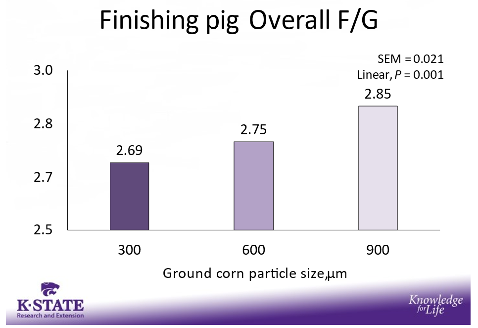 Impact of ground corn particle size on nursery, finishing pigs