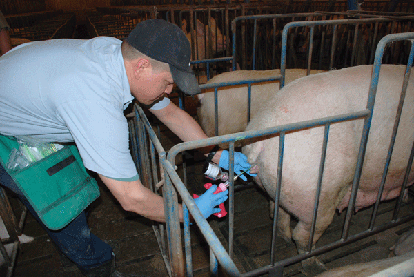 Managing Logistics of Reproduction