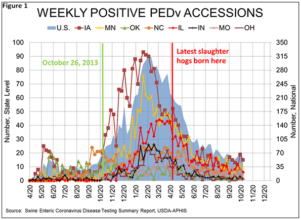 Lack of PEDV-Positive Sow Farms Means More Pigs on the Way