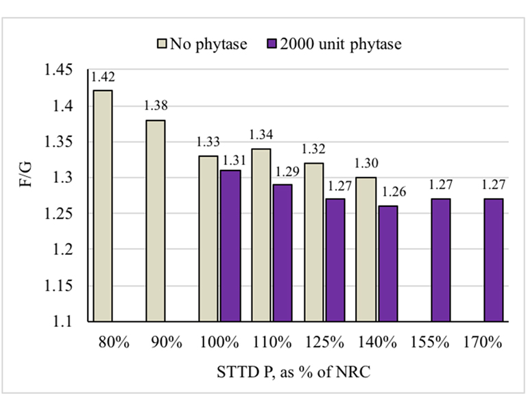 Phytase may increase nursery pigs’ phosphorus requirements