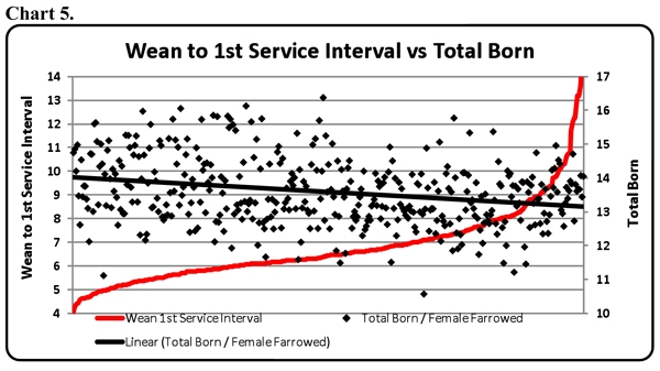 Shorten Wean-to-First Service Interval to Boost Farrowing Rate, Total ...