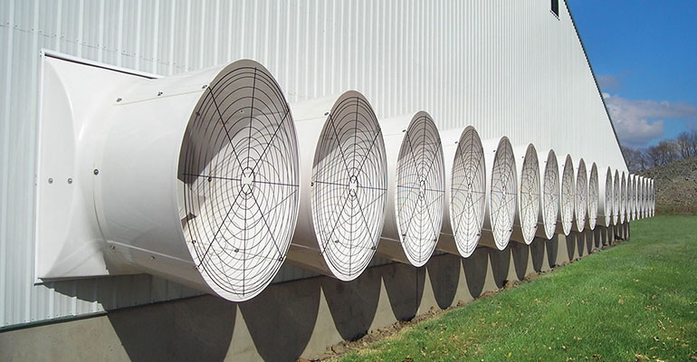 Creating the ideal pig environment