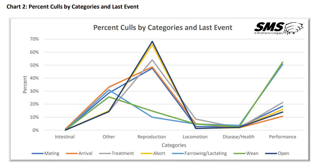 Diving deeper into female culling (removal)