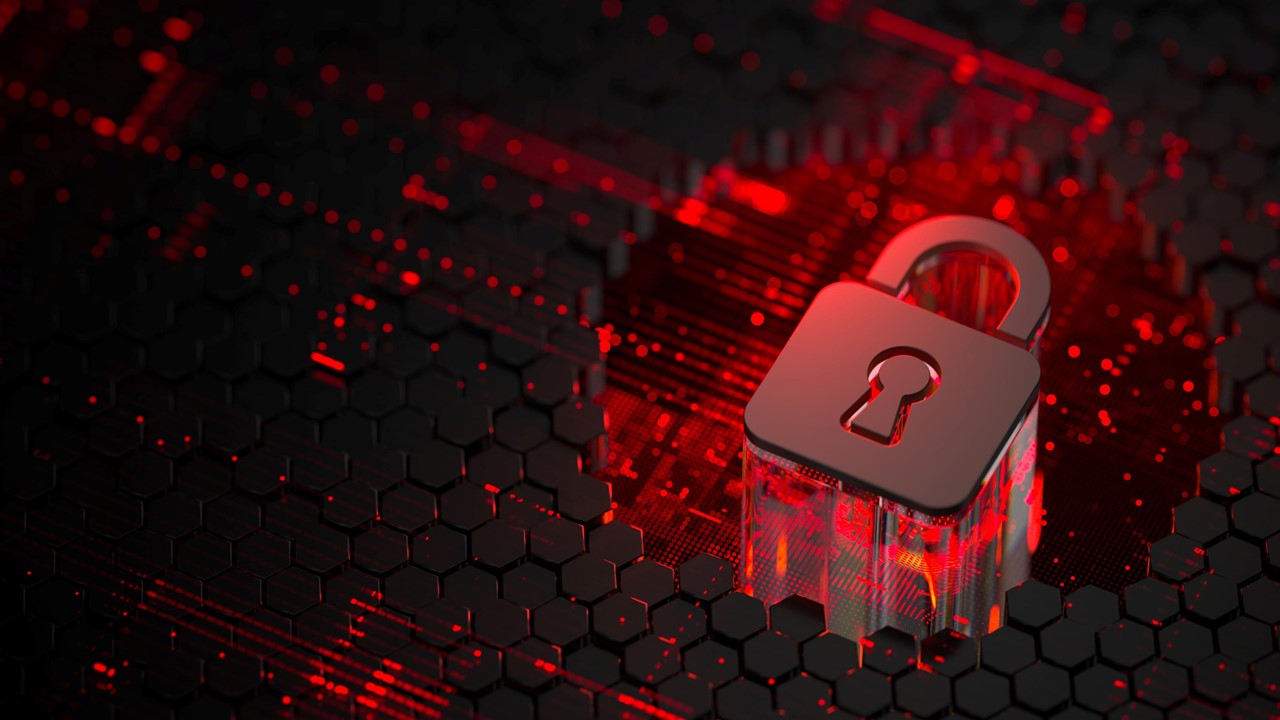 Management of the gilt for breeding and in first gestation for longevity