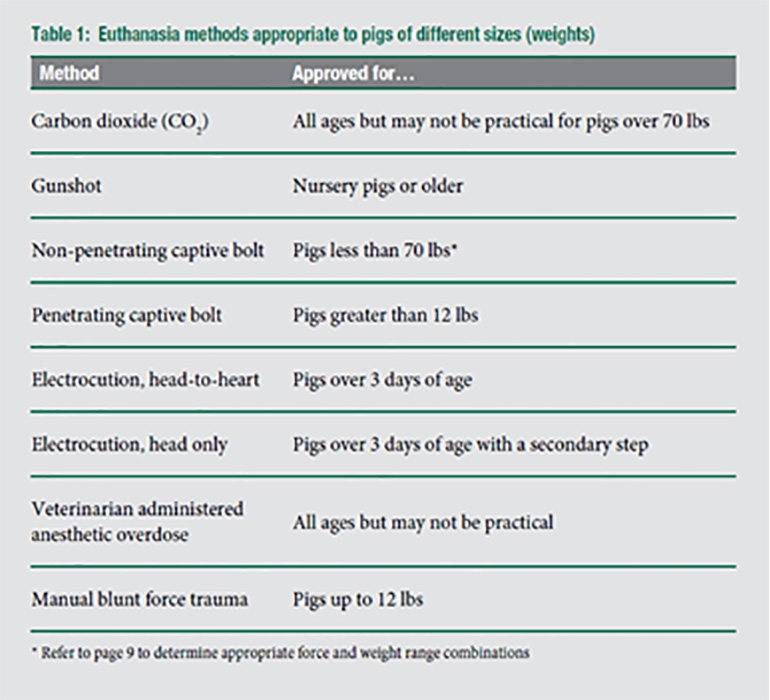 Reviewing humane euthanasia protocols