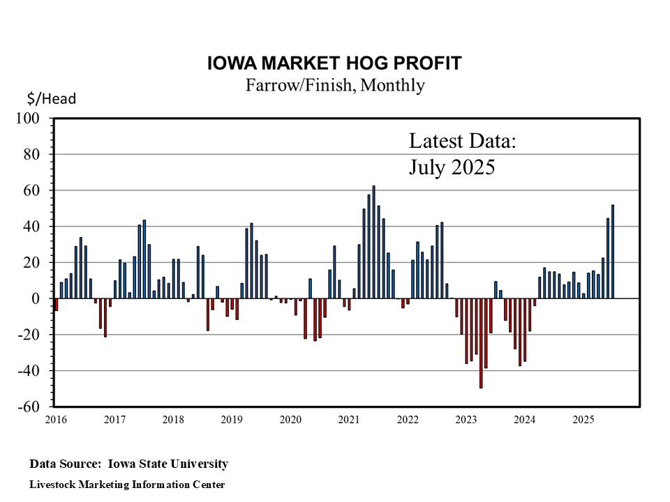 Factors driving high hog prices