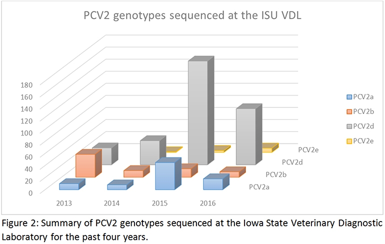 PCV2 genotypes are expanding, furthering challenges